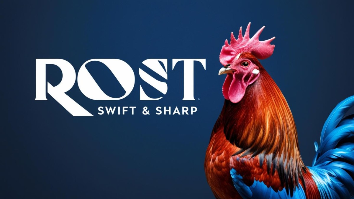 دانلود فیلتر شکن خروس وی پی ان Rooster VPN فعال سازی آسان | دانلود ...